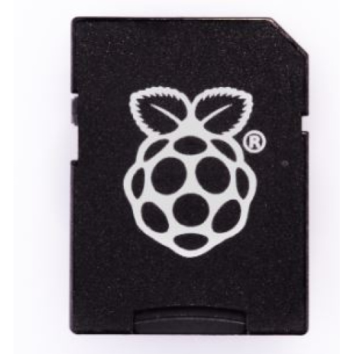 Raspberry Pi Micro SD To SD Adapter